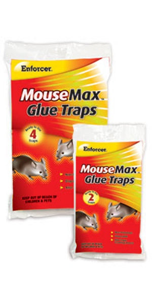 Zep Enforcer MM2 MouseMax Glue Traps 2 traps - Versailles, IN ...