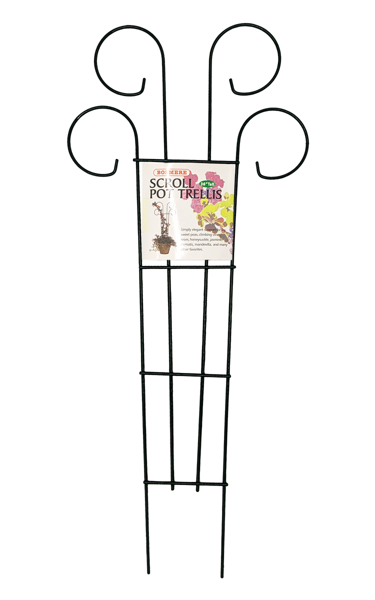 Bosmere Houseplant Trellis- 36" Scroll Pot Trellis - Versailles, IN ...